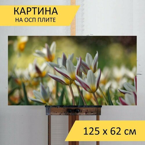 Картина на ОСП 125х62 см. "Тюльпаны, луг, весна" горизонтальная, для интерьера, с креплениями