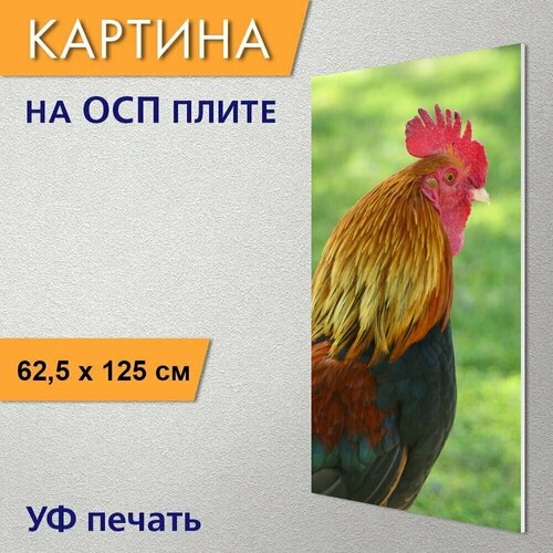 Вертикальная картина на ОСП "Петух, курица, животные" 62x125 см. для интерьериа