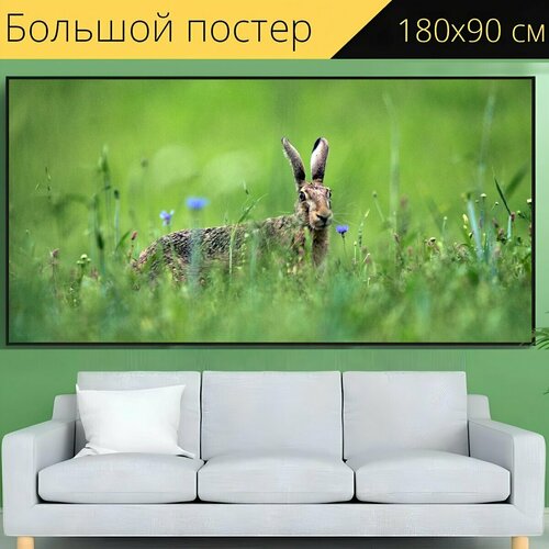 Большой постер "Заяц, природа, луг" 180 x 90 см. для интерьера