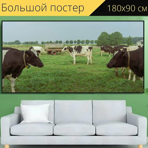 Большой постер "Коровы, пастбища, крупный рогатый скот" 180 x 90 см. для интерьера