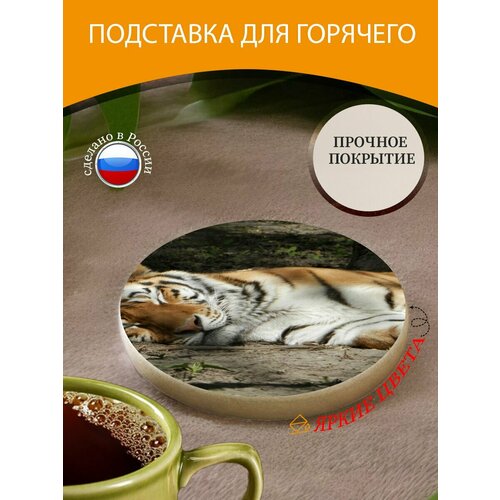 Подставка под горячее "Сибирский тигр, тигр, зоопарк" 10 см. из блого мрамора