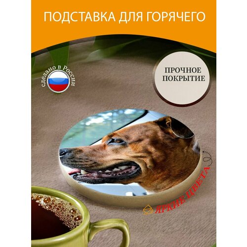 Подставка под горячее "Собака, ротвейлер, амстафф" 10 см. из блого мрамора