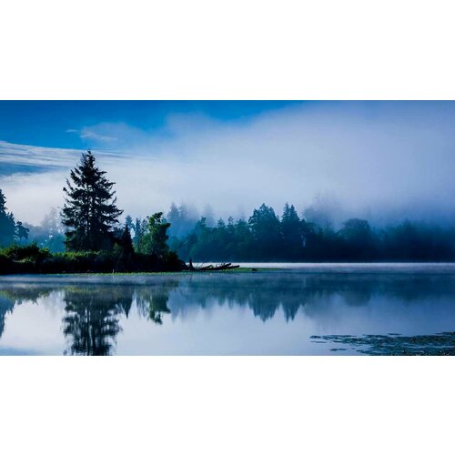 Картина на холсте 60x110 LinxOne "Озеро деревья штиль туман утро" интерьерная для дома / на стену / на кухню / с подрамником