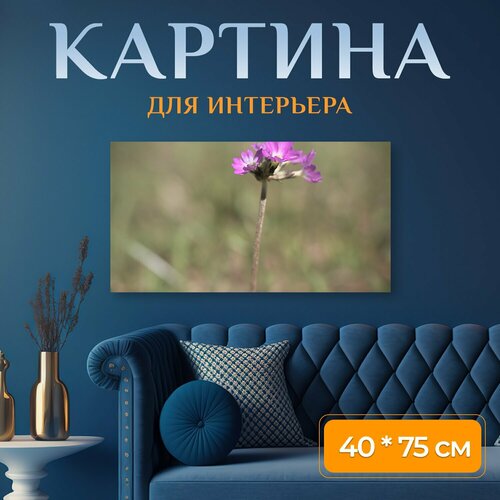 Картина на холсте "Первоцвет, цветок, цвести" на подрамнике 75х40 см. для интерьера