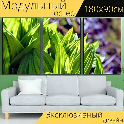 Модульный постер "Зеленый, растения, весна" 180 x 90 см. для интерьера