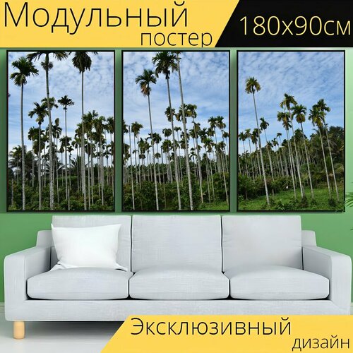 Модульный постер "Кокосовые пальмы, деревья, холм" 180 x 90 см. для интерьера