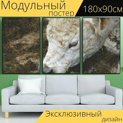 Модульный постер "Корова, сарай, стабильные животные" 180 x 90 см. для интерьера