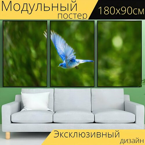 Модульный постер "Синий, птица, животное" 180 x 90 см. для интерьера