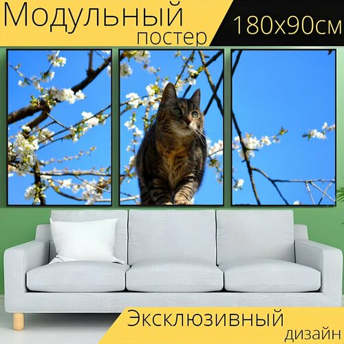 Модульный постер "Кот, дерево, природа" 180 x 90 см. для интерьера