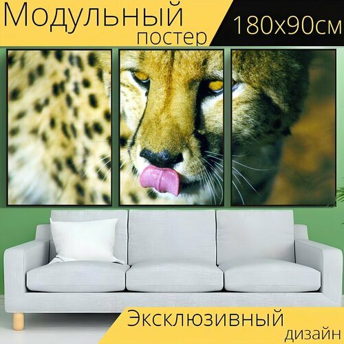 Модульный постер "Дикое животное, хищник, большой кот" 180 x 90 см. для интерьера