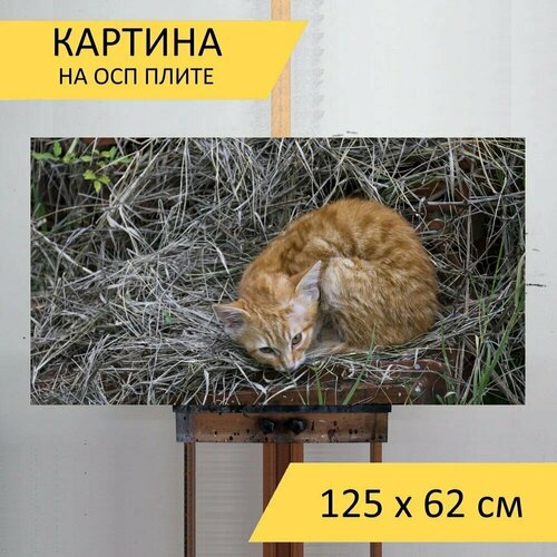 Картина на ОСП 125х62 см. "Кошачий, кошка, котенок" горизонтальная, для интерьера, с креплениями