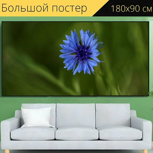 Большой постер "Синий, цветок, цвести" 180 x 90 см. для интерьера