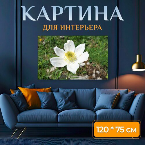 Картина на холсте "Белый цветок, цветочная пыльца, лепестки" на подрамнике 120х75 см. для интерьера