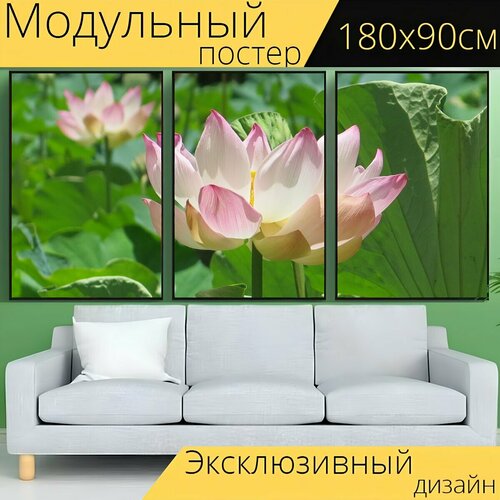 Модульный постер "Природа, цветок, маврикий" 180 x 90 см. для интерьера