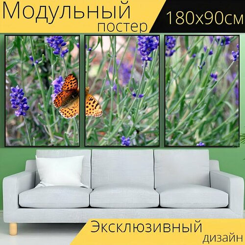 Модульный постер "Лаванда, бабочка, цветок" 180 x 90 см. для интерьера