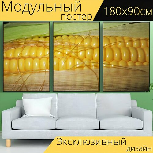 Модульный постер "Сладкая кукуруза, овощ, здоровый" 180 x 90 см. для интерьера