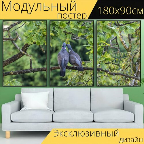 Модульный постер "Птица, голубь, дикая природа" 180 x 90 см. для интерьера