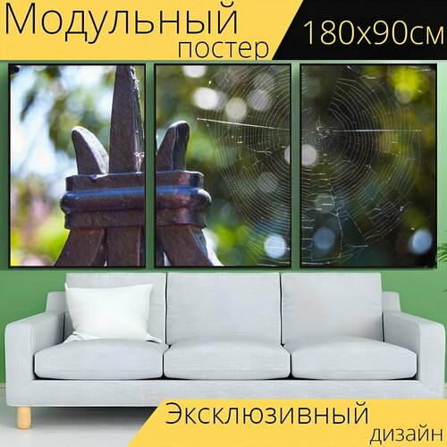 Модульный постер "Отражение, паутина, паук" 180 x 90 см. для интерьера
