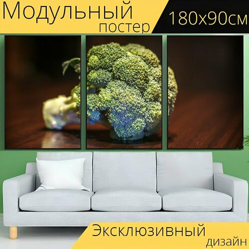 Модульный постер "Брокколи, овощи, здоровый" 180 x 90 см. для интерьера