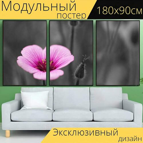 Модульный постер "Герань, цвести, цветок" 180 x 90 см. для интерьера