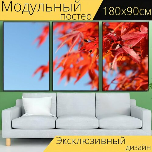 Модульный постер "Красные листья, осенние листья, листья" 180 x 90 см. для интерьера