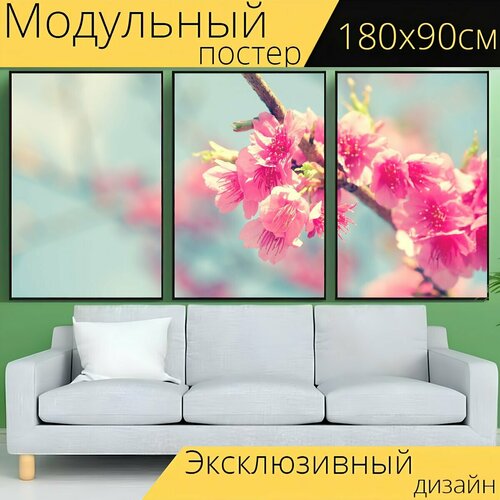 Модульный постер "Сакура, вишня в цвету, цветок" 180 x 90 см. для интерьера