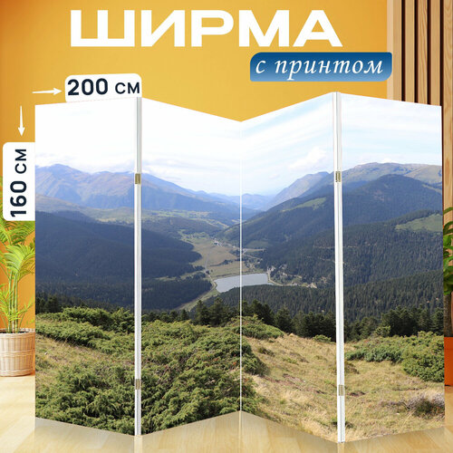 Ширма перегородка с принтом "Пиренеи, гора, пихта" на холсте - 200x160 см. для зонирования, раскладная