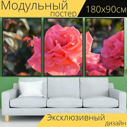 Модульный постер "Цветок, трава, роуз" 180 x 90 см. для интерьера