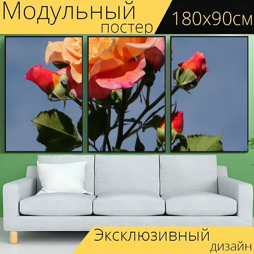 Модульный постер "Роза, роза оранжевый" 180 x 90 см. для интерьера