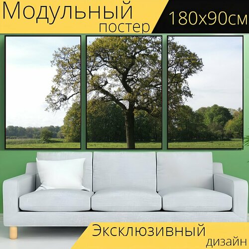 Модульный постер "Дерево, органический, сельское хозяйство" 180 x 90 см. для интерьера