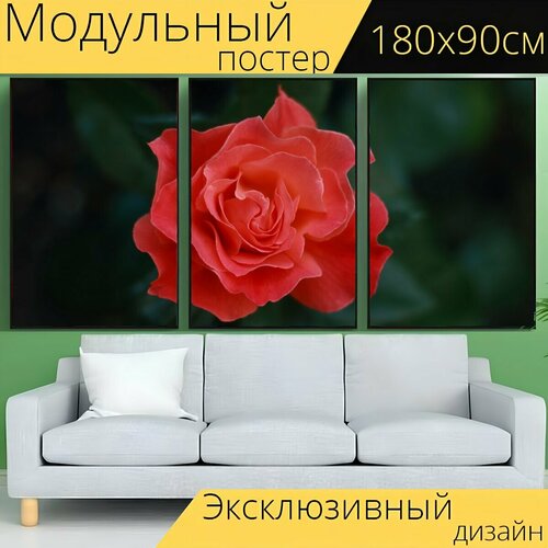 Модульный постер "Летом, сад, валентинка" 180 x 90 см. для интерьера