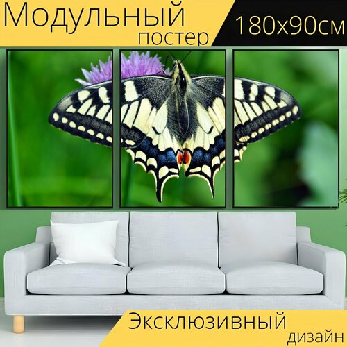 Модульный постер "Насекомые, бабочка, бабочки" 180 x 90 см. для интерьера