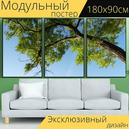 Модульный постер "Вуд, небо, листва" 180 x 90 см. для интерьера
