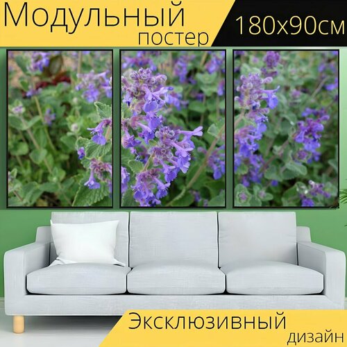 Модульный постер "Весна, расцветает, фиолетовый" 180 x 90 см. для интерьера