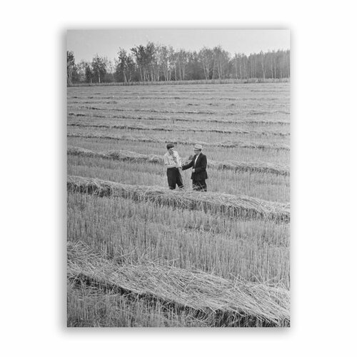 Советский постер, плакат на бумаге / Агрономы в поле / Размер 40 x 53 см