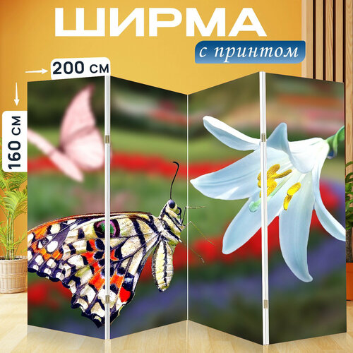 Ширма перегородка с принтом "Бабочка, цветок, весна" на холсте - 200x160 см. для зонирования, раскладная