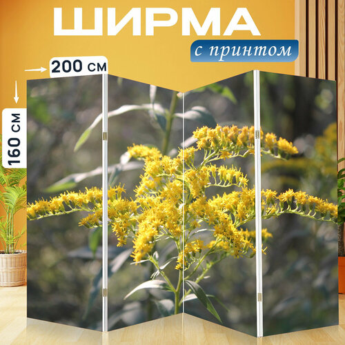Ширма перегородка с принтом "Закрывать, полевой цветок, цветок" на холсте - 200x160 см. для зонирования, раскладная