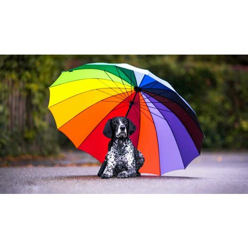Картина на холсте 110x60 LinxOne "Друг собака зонт" интерьерная для дома / на стену / на кухню / с подрамником
