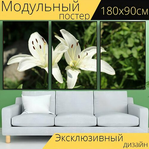 Модульный постер "Лилии, лили, белые цветки" 180 x 90 см. для интерьера