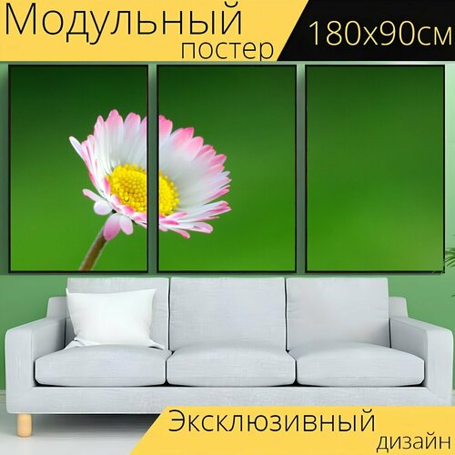 Модульный постер "Цветок, цвет, свет" 180 x 90 см. для интерьера