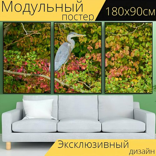 Модульный постер "Серая цапля, птица, дерево" 180 x 90 см. для интерьера