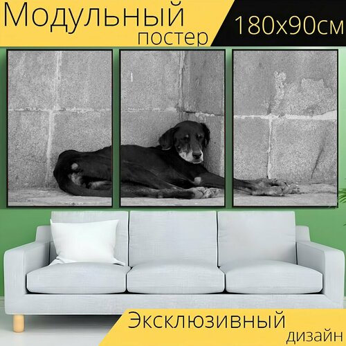 Модульный постер "Собака, монохромный, спящая" 180 x 90 см. для интерьера