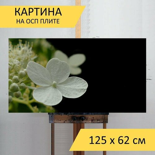 Картина на ОСП 125х62 см. "Гортензия, цветок, белый" горизонтальная, для интерьера, с креплениями