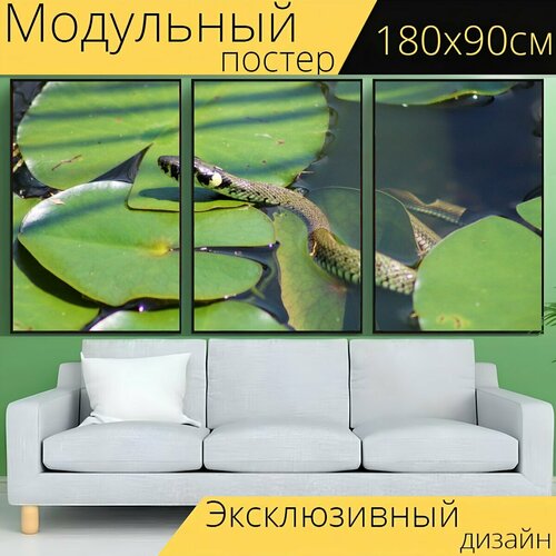 Модульный постер "Пруд, линия, травяная змея" 180 x 90 см. для интерьера