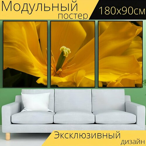 Модульный постер "Тюльпан, желтый, цветок" 180 x 90 см. для интерьера