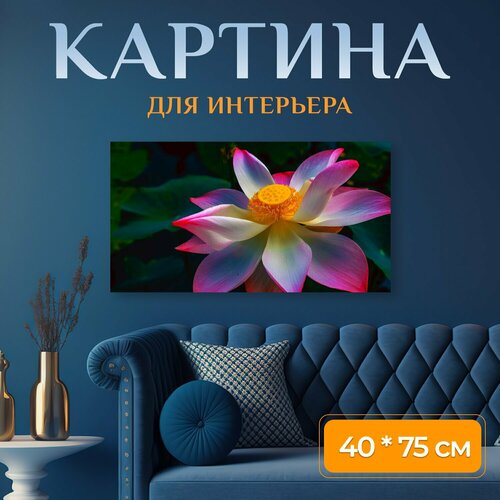 Картина на холсте "Лотос, завод, цветок" на подрамнике 75х40 см. для интерьера