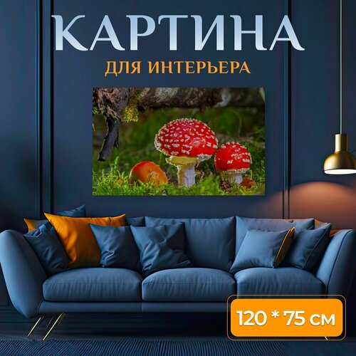 Картина на холсте "Мухомор, грибы, красные мухоморы" на подрамнике 120х75 см. для интерьера