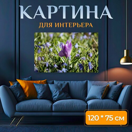 Картина на холсте "Крокус, весна, фиолетовый" на подрамнике 120х75 см. для интерьера