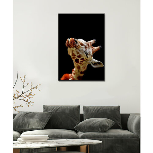 Картина - Жираф, жираф арт, пятнистый жираф (1) 60х80
