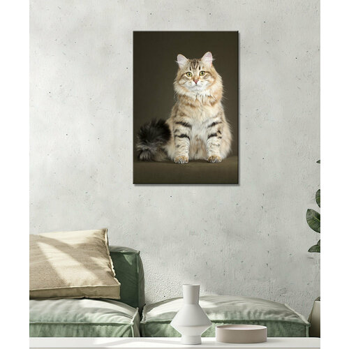 Картина - кошка, сибирская кошка, домашняя кошка, ласковая кошка, полудлинношёрстная кошка, кот (104) 40х60